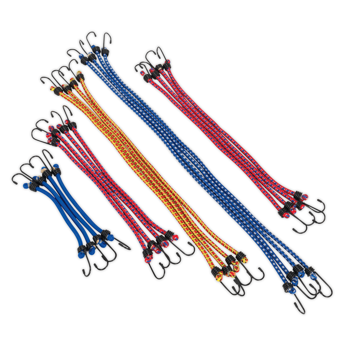 Bungee Cords & Cargo Nets