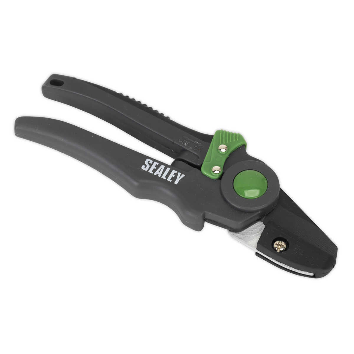 Secateurs Anvil Pattern 200mm
