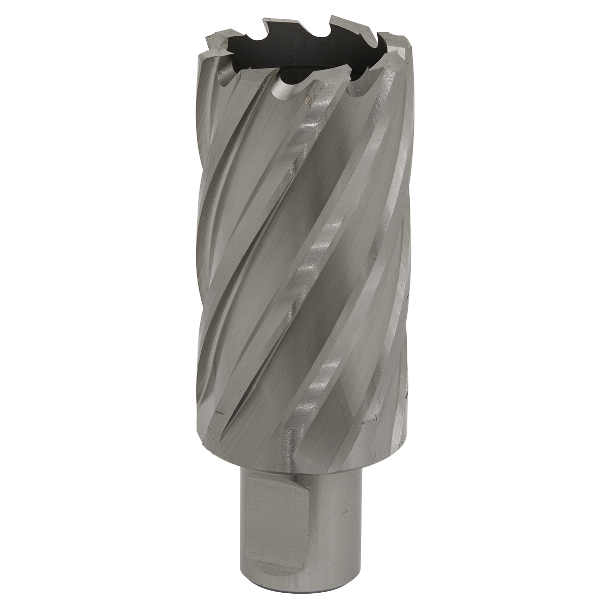 Rotabor Cutter Cobalt M35 - ¯33mm - Cut Depth 50mm